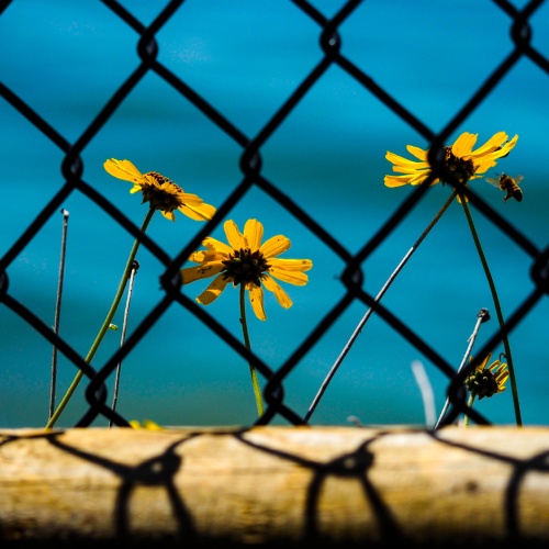 Setting Healthy Boundaries – Spiritual Acceleration Setting Healthy Boundaries – Spiritual Acceleration
